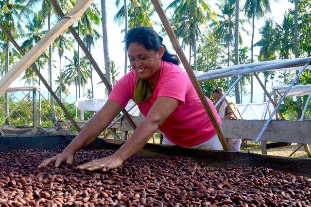 Philippines: A Rising Star as a Specialty Cacao Origin - Silva